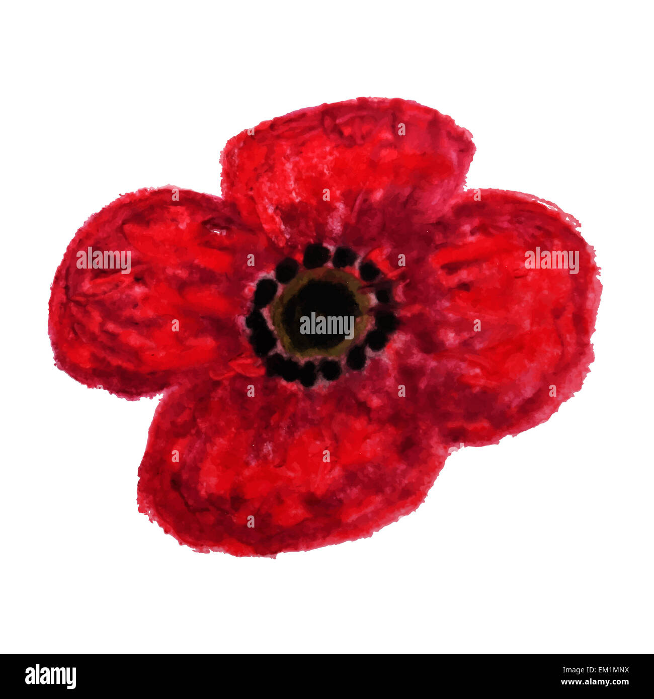 Papavero acquerello immagini e fotografie stock ad alta risoluzione - Alamy