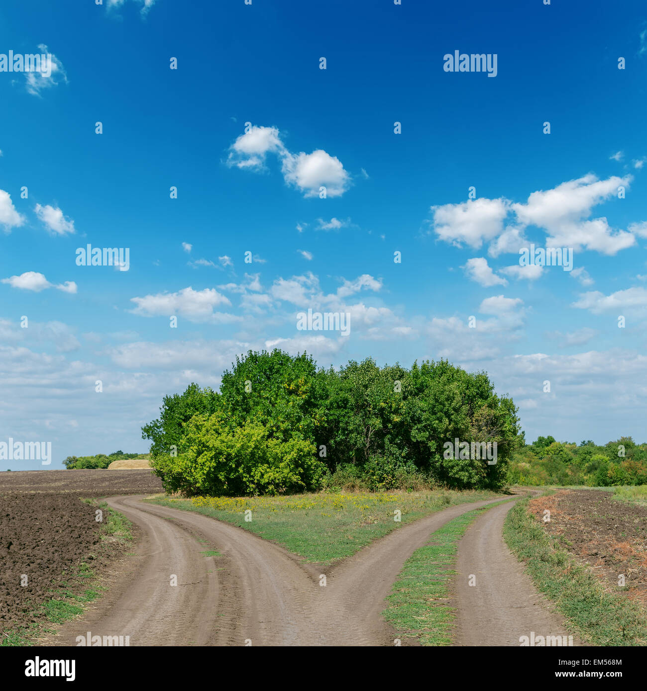 Due sporchi immagini e fotografie stock ad alta risoluzione - Alamy