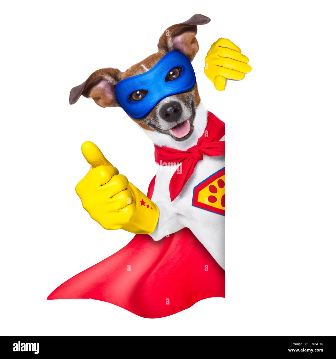Superhero dog immagini e fotografie stock ad alta risoluzione - Alamy