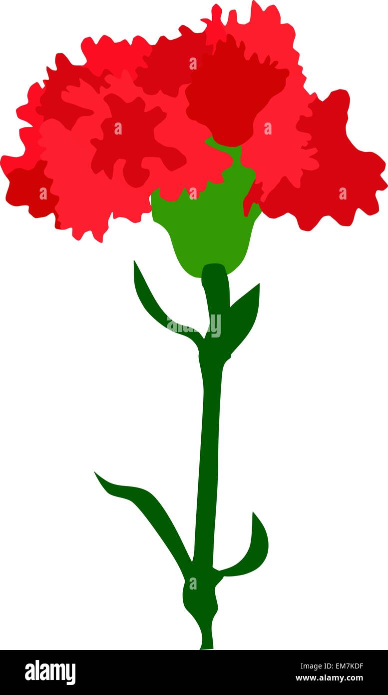 Garofano verde Immagini Vettoriali Stock - Alamy