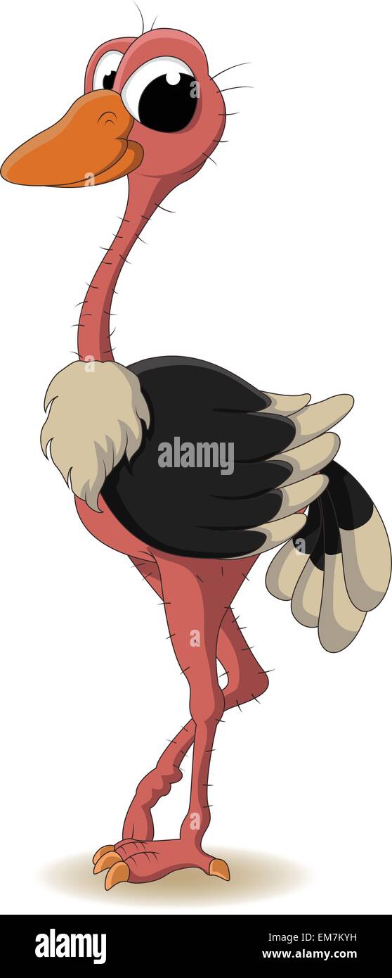 Occhio di struzzo Immagini Vettoriali Stock - Alamy