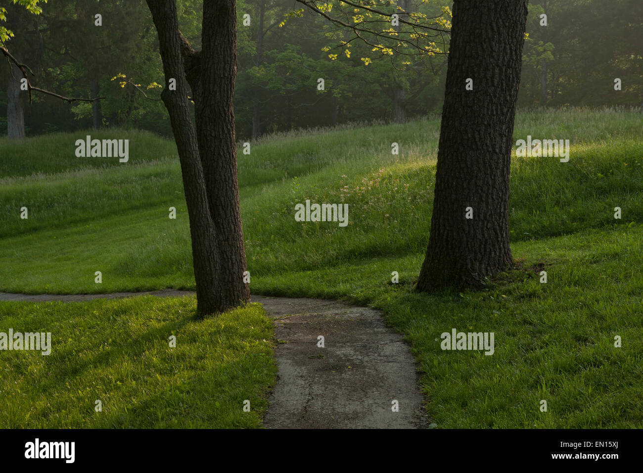 Sentiero del serpente immagini e fotografie stock ad alta risoluzione ...