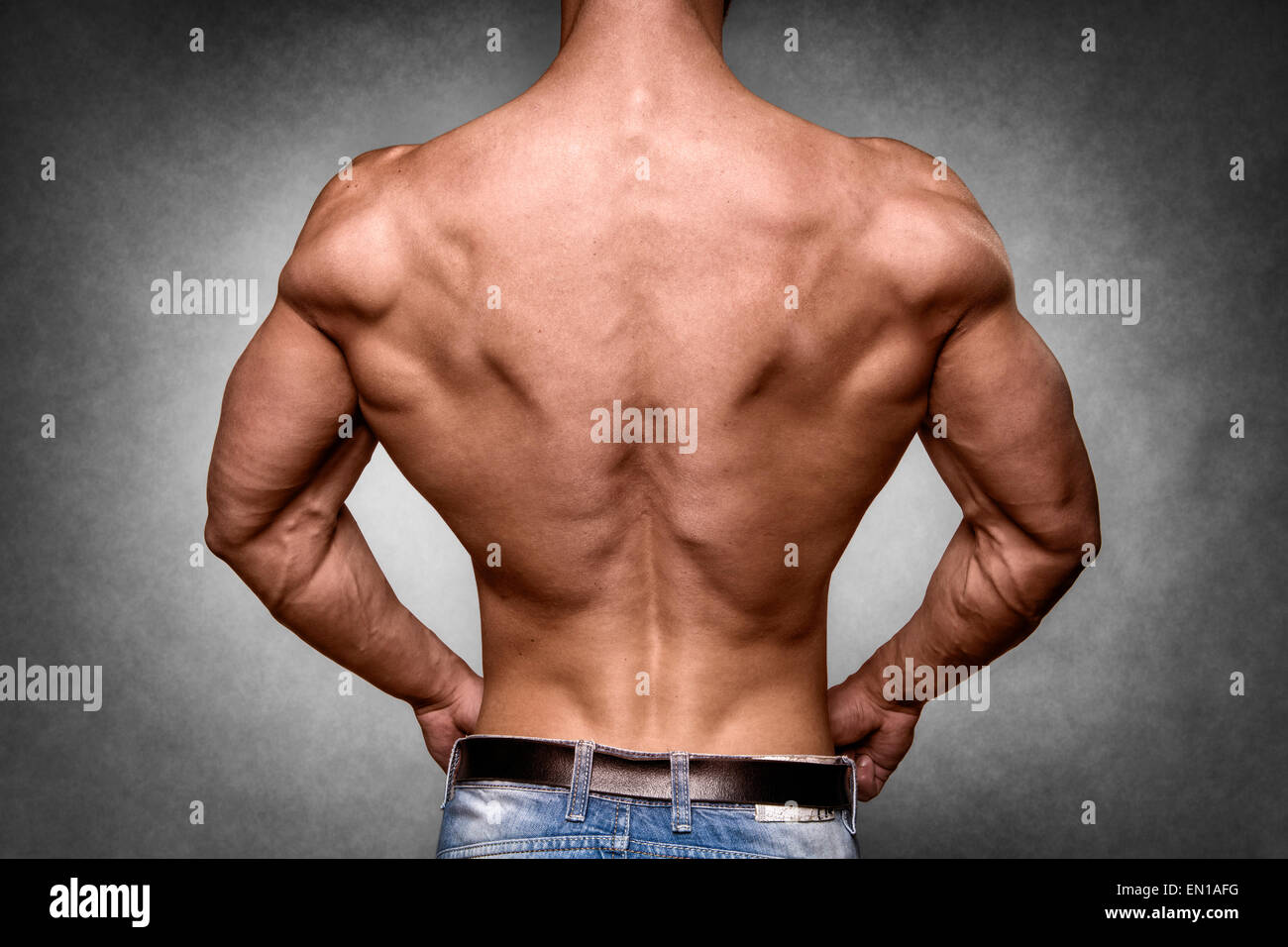 Muscolo romboide immagini e fotografie stock ad alta risoluzione - Alamy