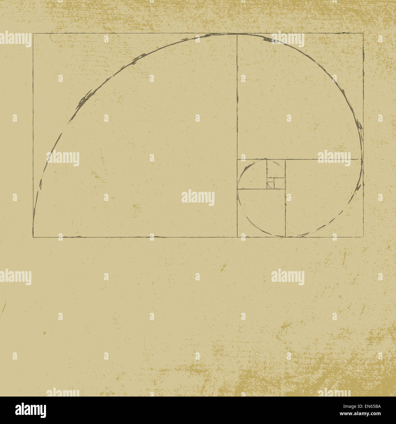 Fibonacci ratio immagini e fotografie stock ad alta risoluzione - Alamy