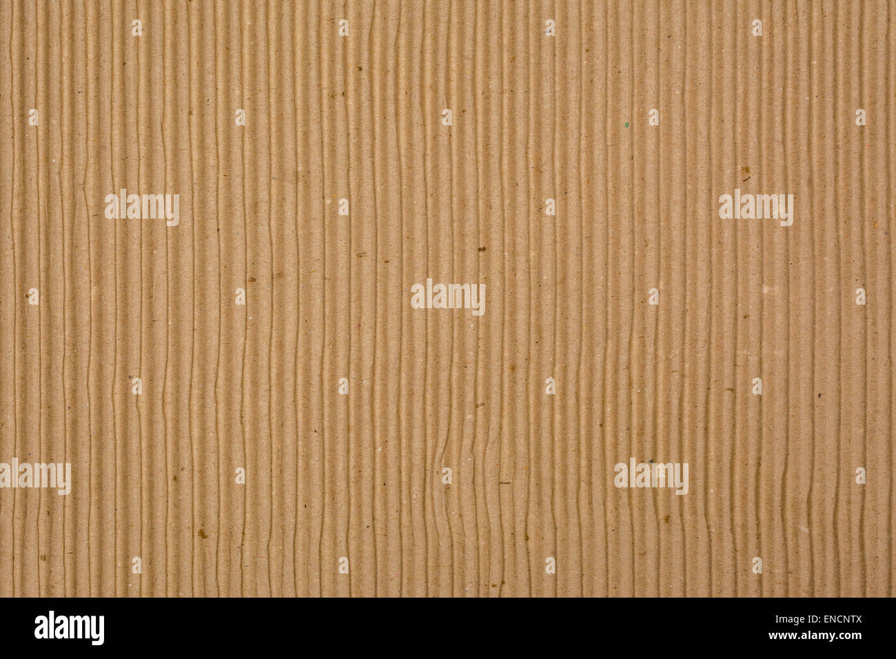 Cartone riciclato immagini e fotografie stock ad alta risoluzione - Alamy