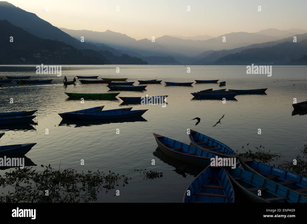 Pokhara lake kathmandu nepal immagini e fotografie stock ad alta ...