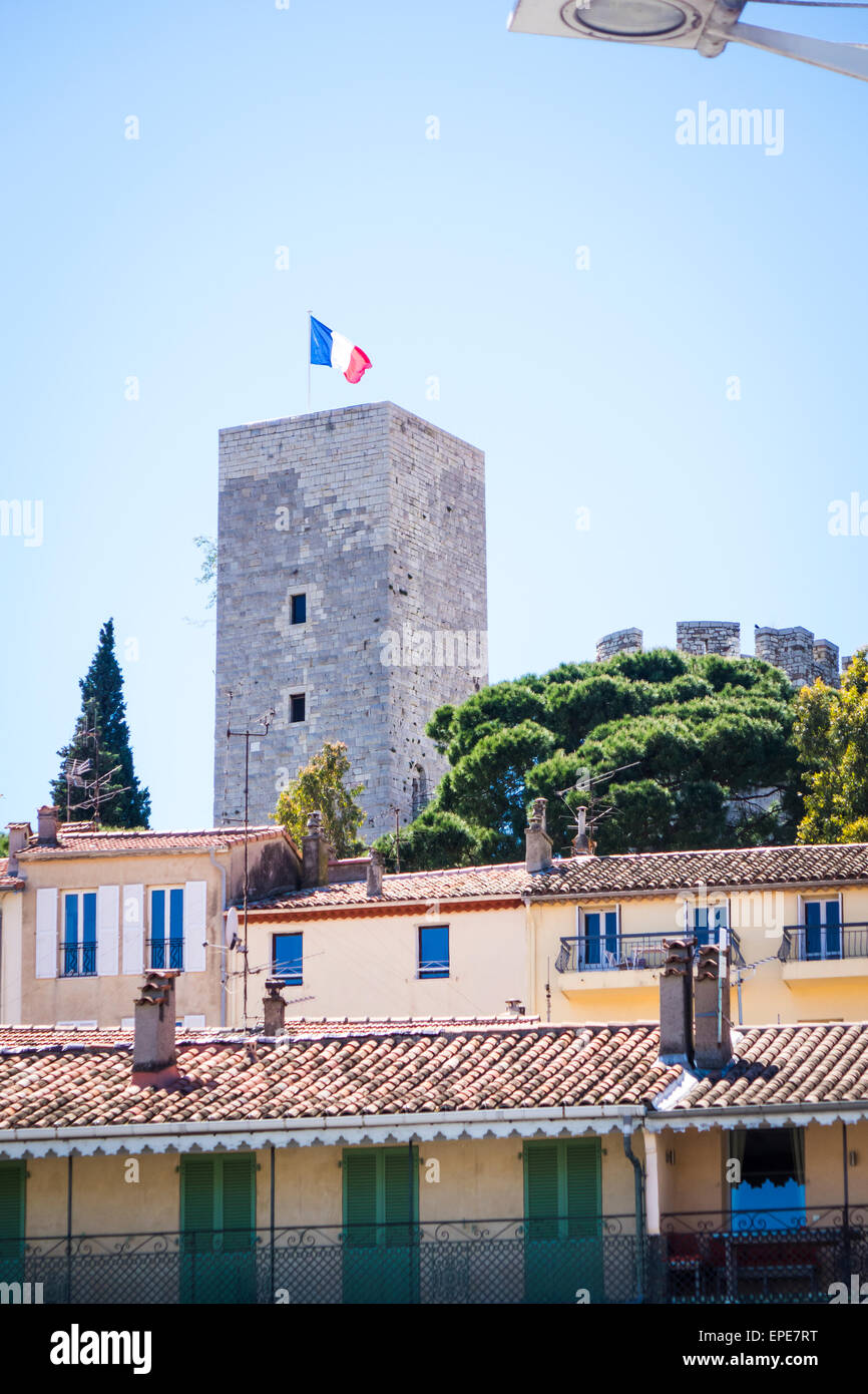 Canne vecchia immagini e fotografie stock ad alta risoluzione - Alamy