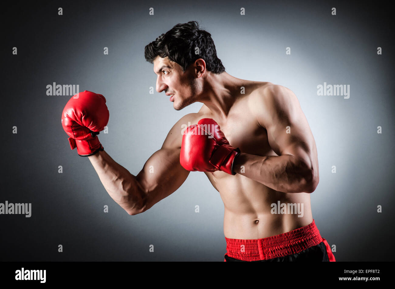 Jo boxer immagini e fotografie stock ad alta risoluzione - Alamy