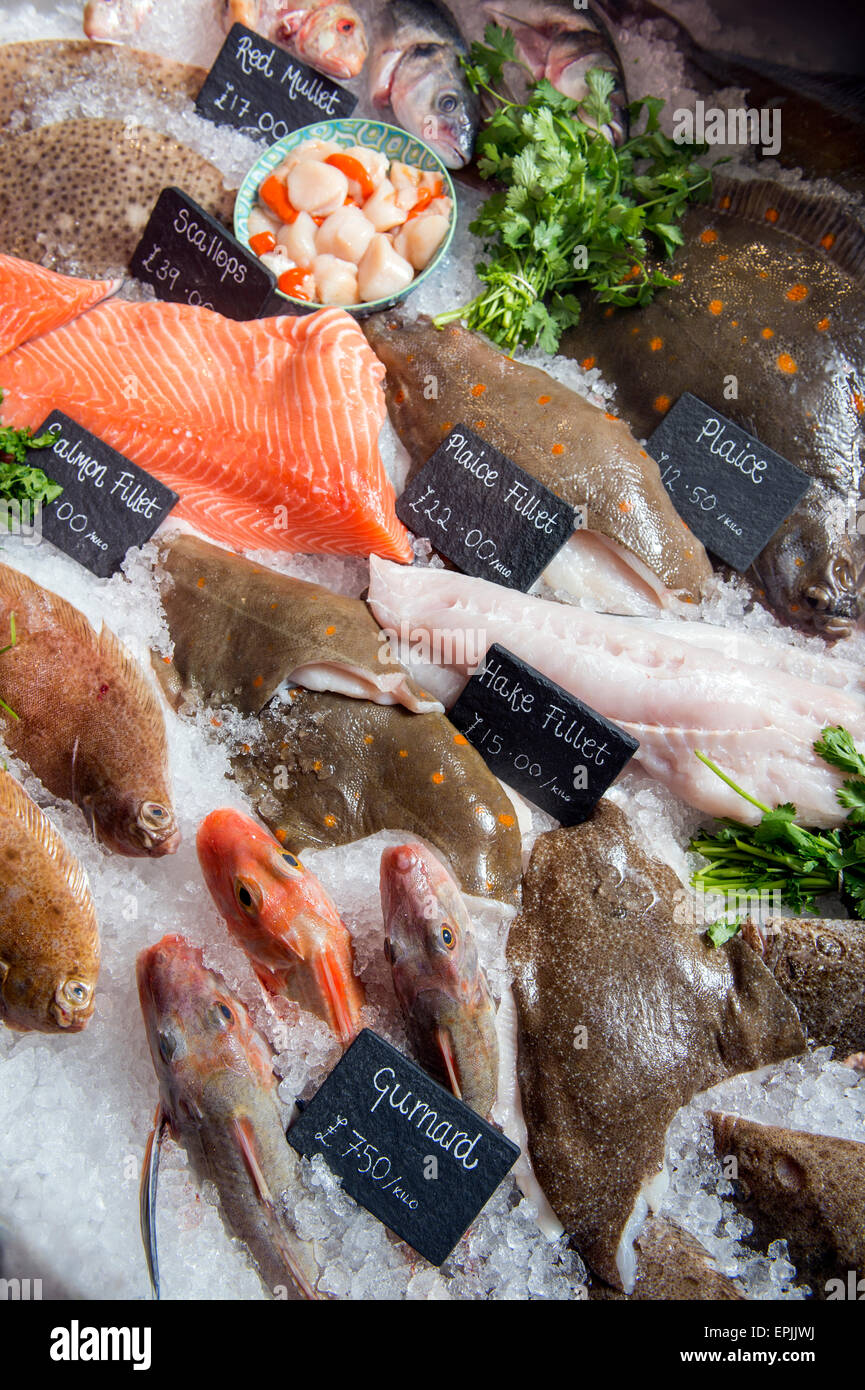 Nasello di filo immagini e fotografie stock ad alta risoluzione - Alamy