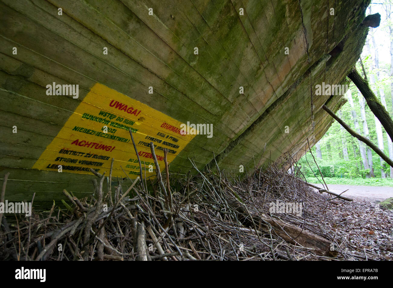 Resti di Martin Bormann bunker in Wolfsschanze, Hitler Wolf's Lair ...