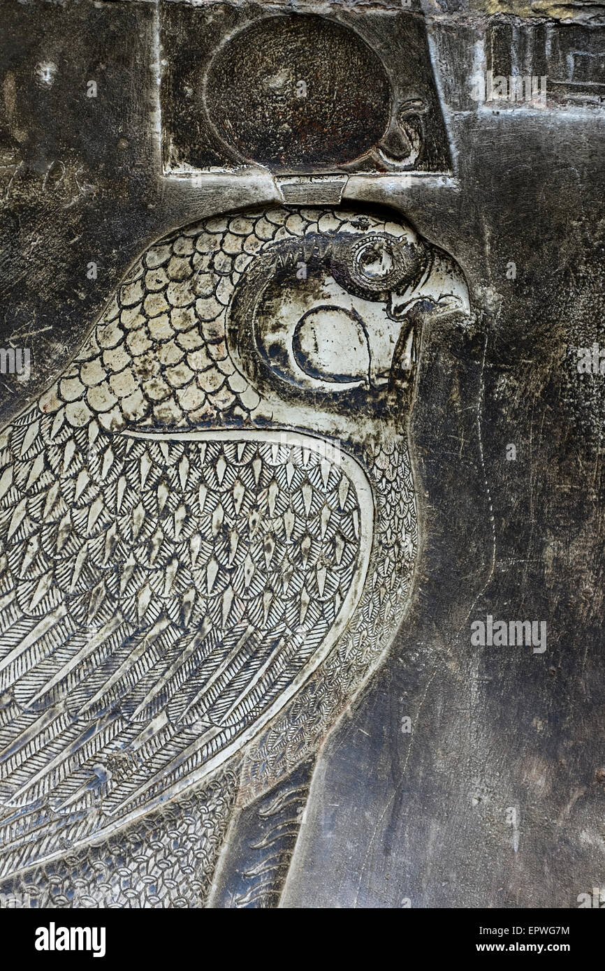 Dio falco immagini e fotografie stock ad alta risoluzione - Alamy