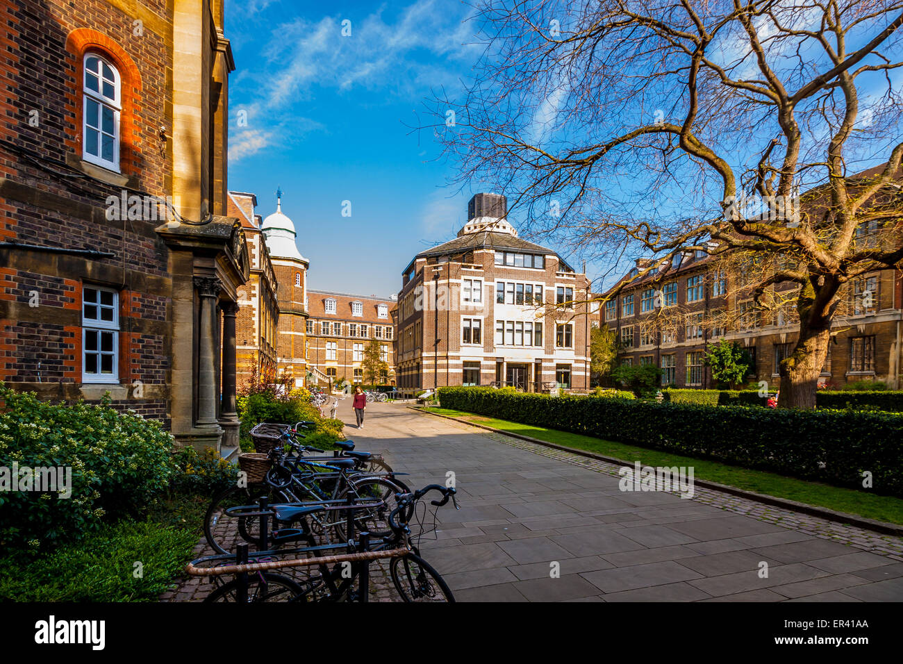Biblioteca haddon cambridge immagini e fotografie stock ad alta ...