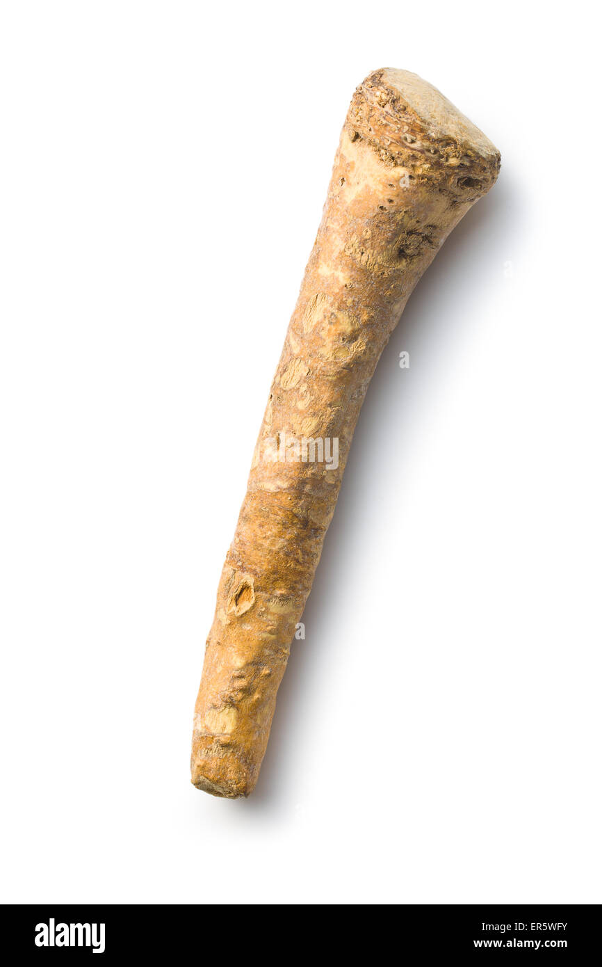 Rafano selvatico Immagini senza sfondo e Foto Stock ritagliate - Alamy