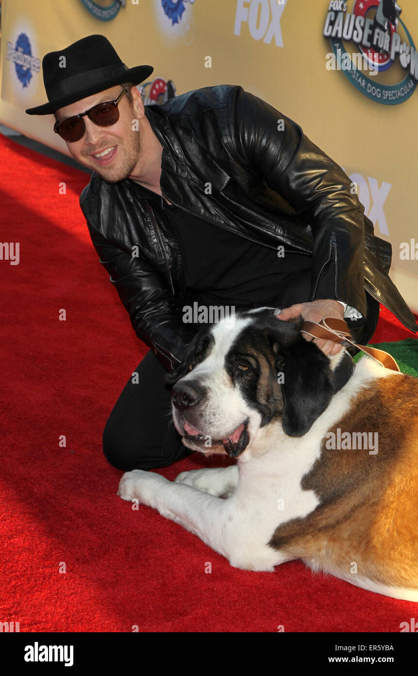 FOX IN CAUSA PER LE ZAMPE: Un all-star cane spettacolare dotate di ...