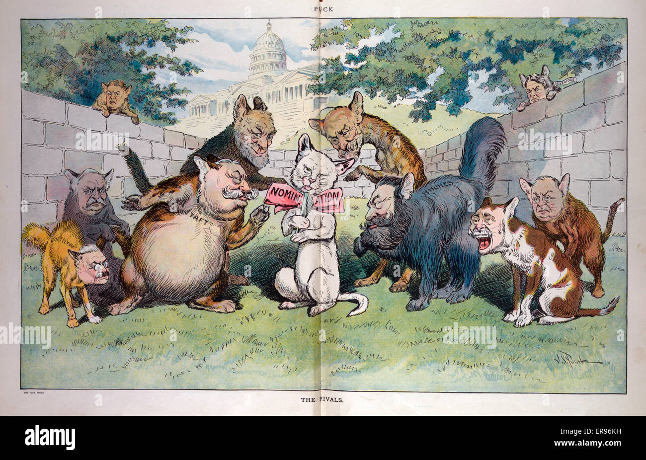 Cartone animato gatto bianco immagini e fotografie stock ad alta ...