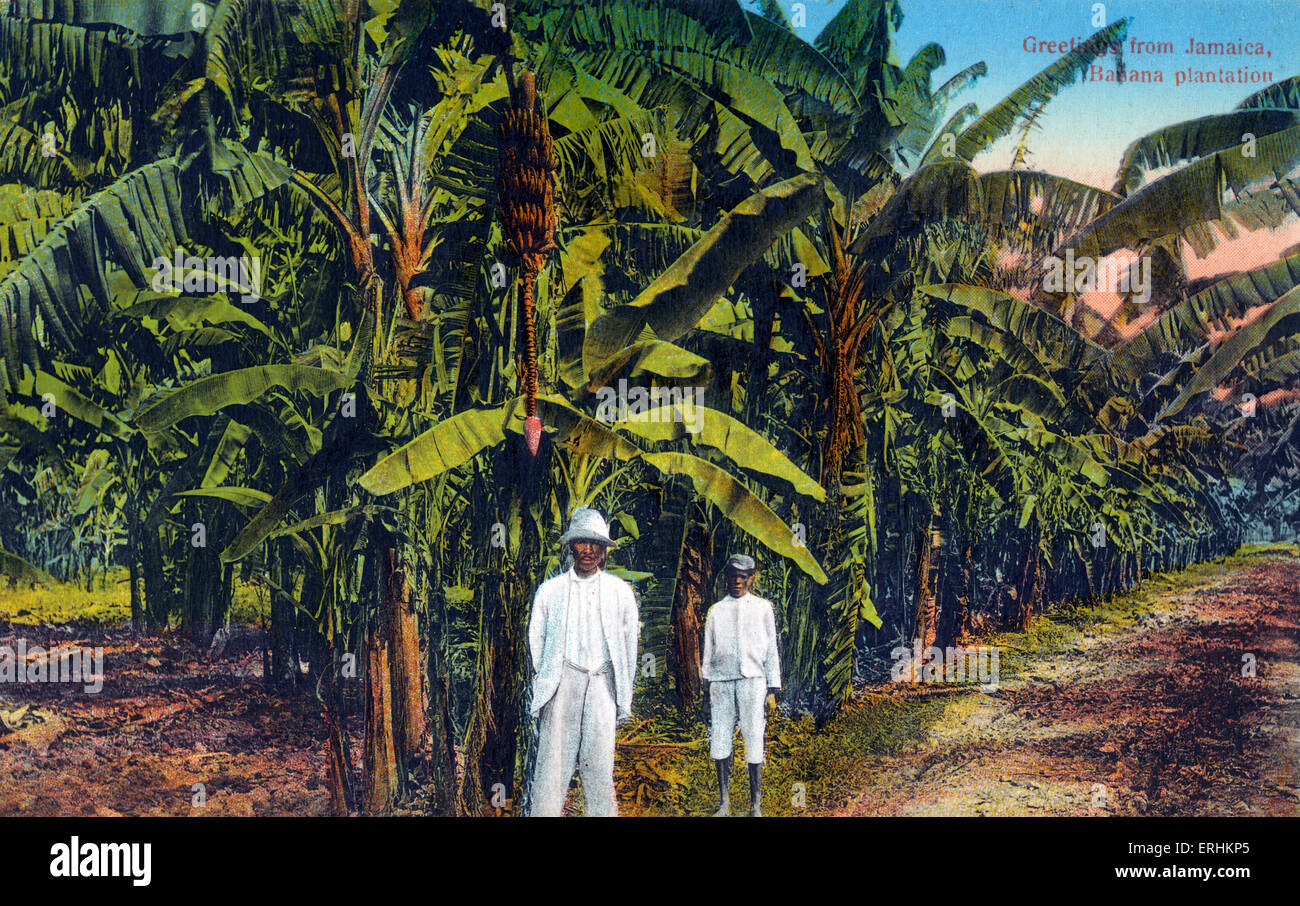 Cartoline di banana immagini e fotografie stock ad alta risoluzione - Alamy