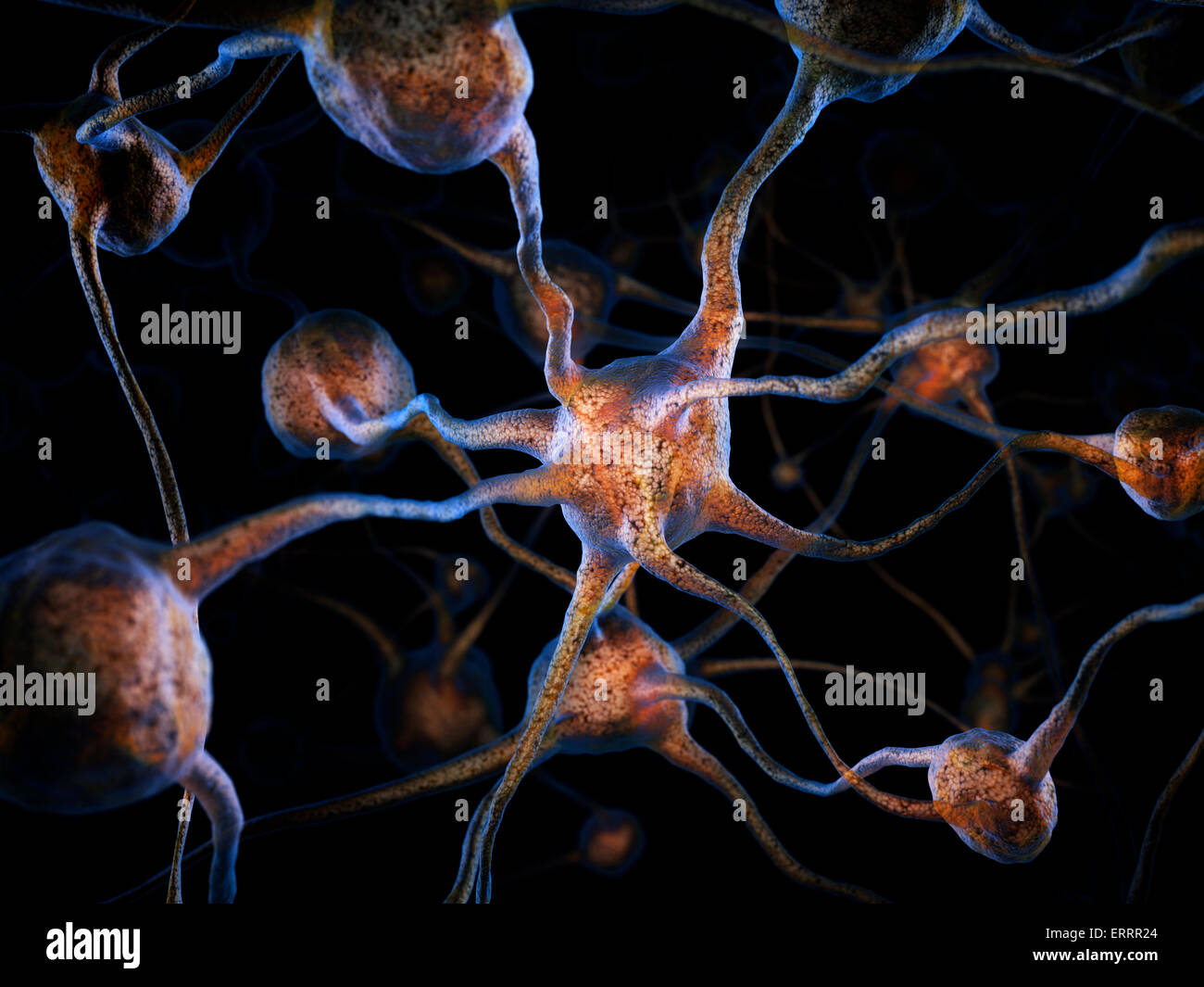 Nervous system immagini e fotografie stock ad alta risoluzione - Alamy
