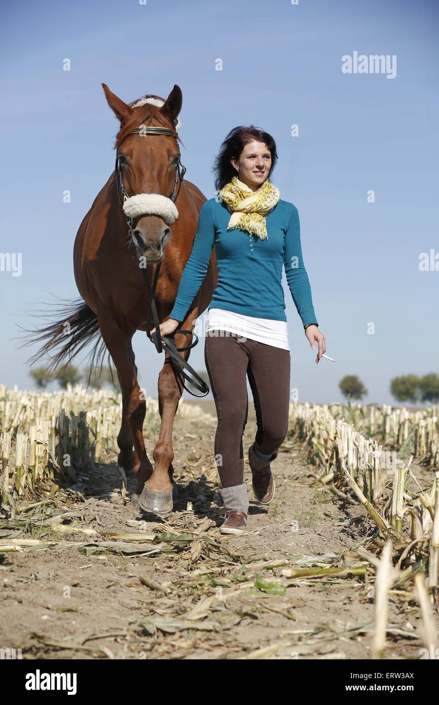 Cavallo femminile immagini e fotografie stock ad alta risoluzione - Alamy