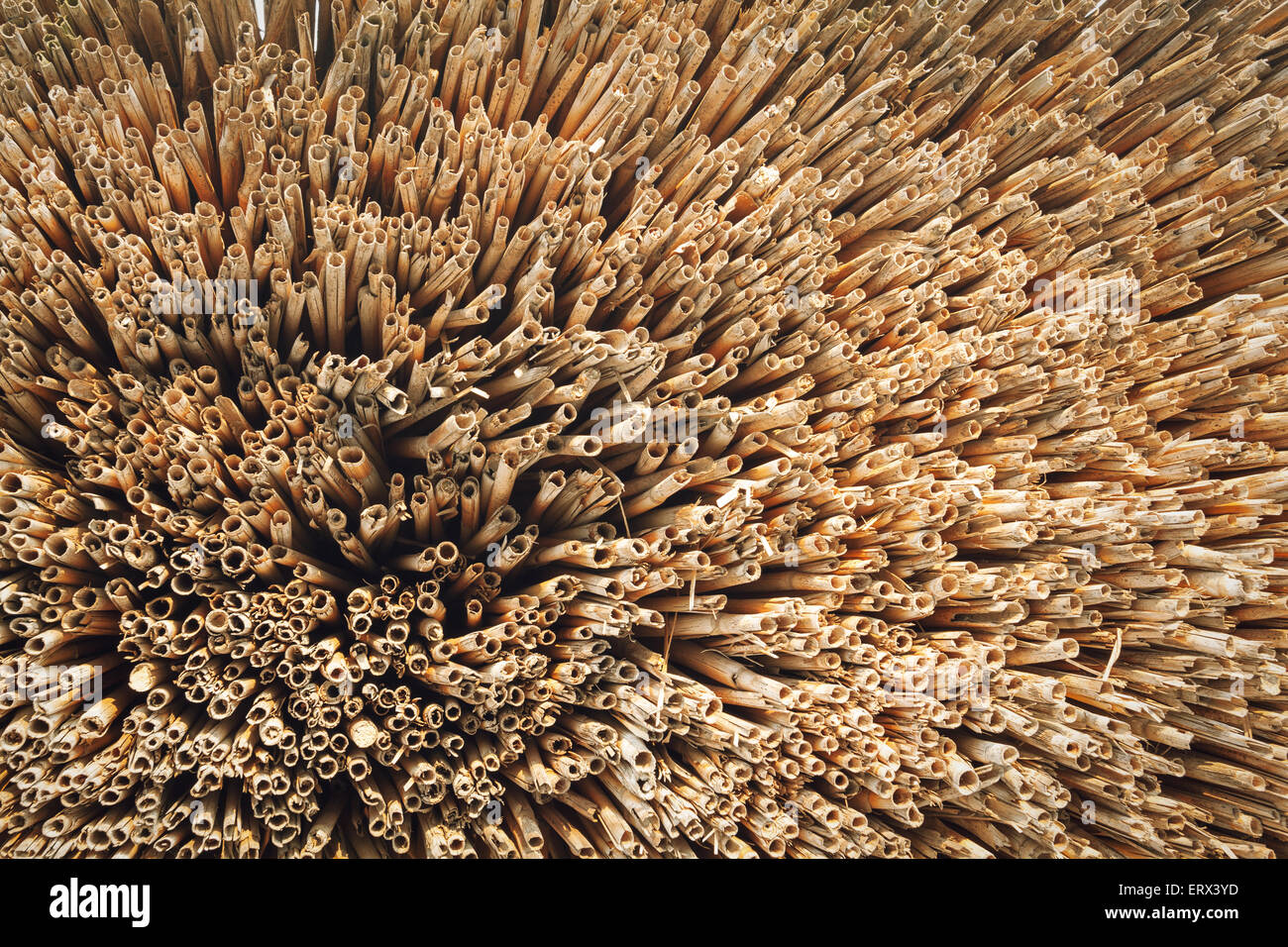 Tetto di paglia di palma immagini e fotografie stock ad alta ...