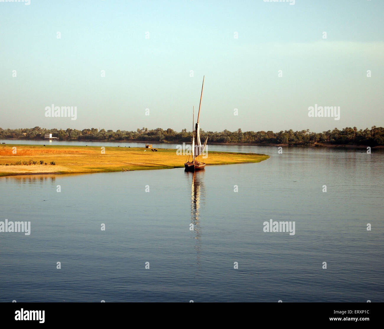 Barca feluca immagini e fotografie stock ad alta risoluzione - Alamy