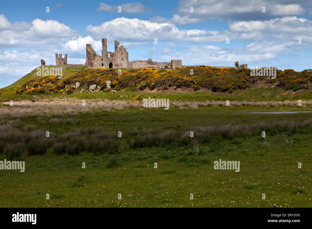 Dunstanburgh castle immagini e fotografie stock ad alta risoluzione - Alamy