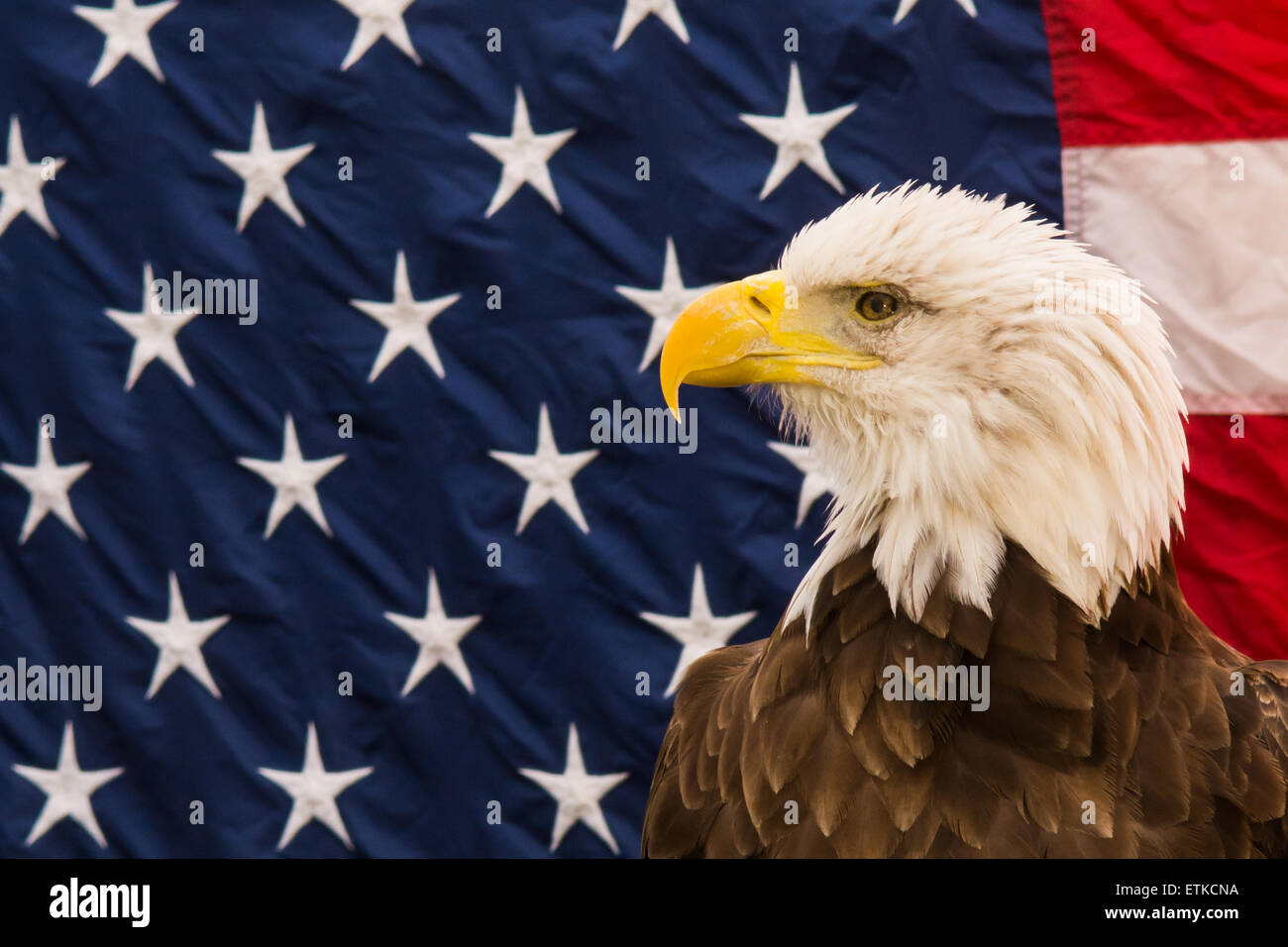 Simbolo dell'aquila americana immagini e fotografie stock ad alta ...