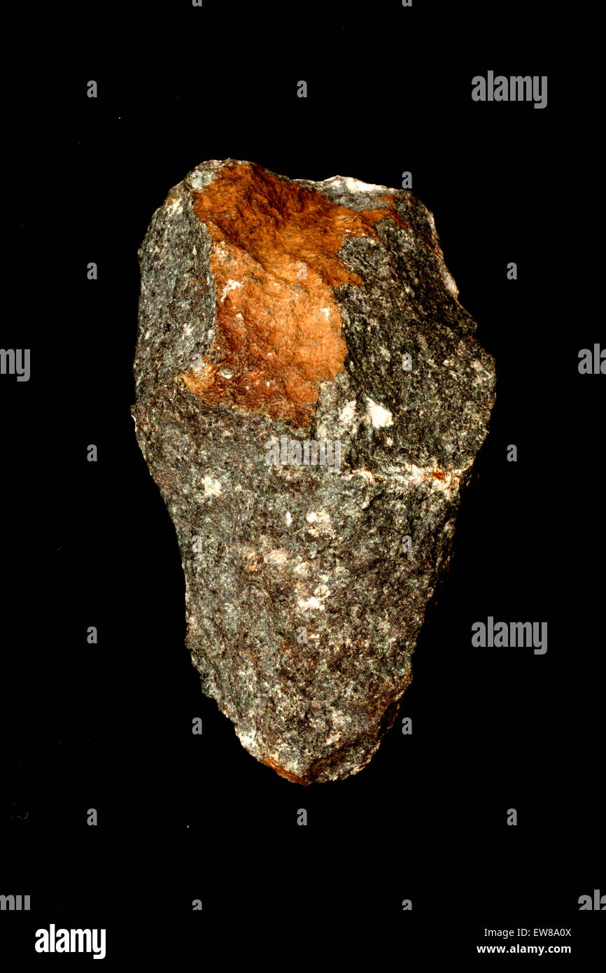 Dolerite maculata immagini e fotografie stock ad alta risoluzione - Alamy