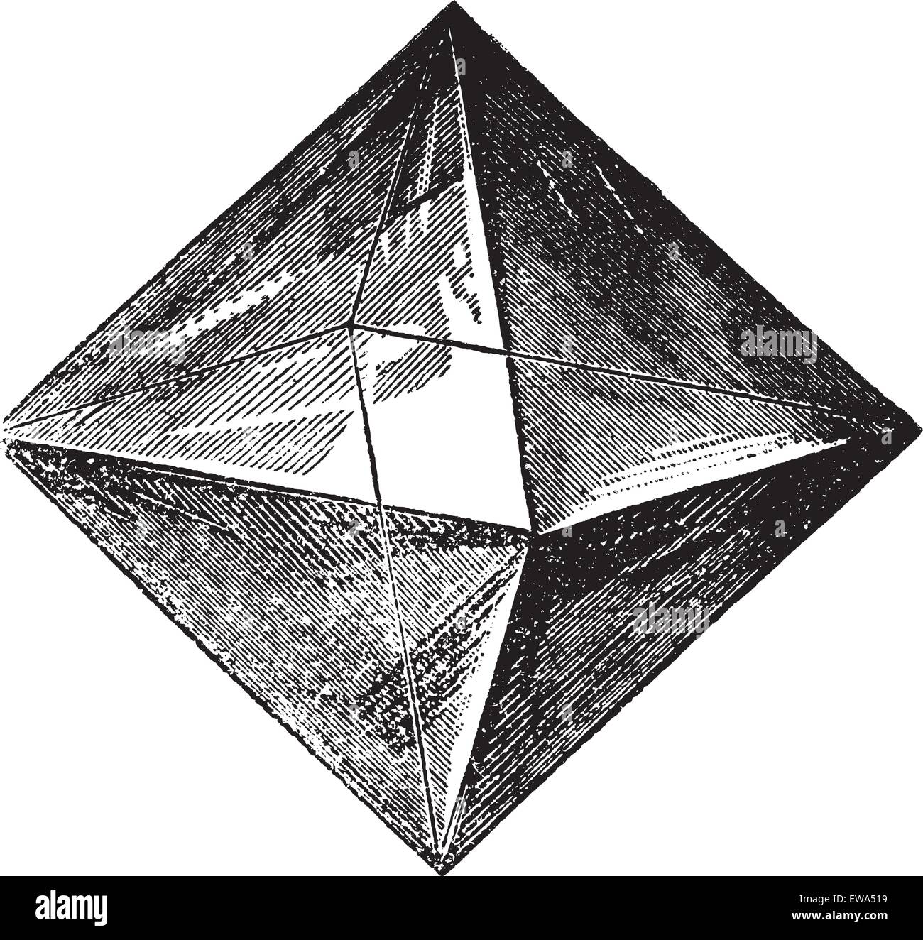Lo spinello, incisione vintage. Vecchie illustrazioni incise di ...