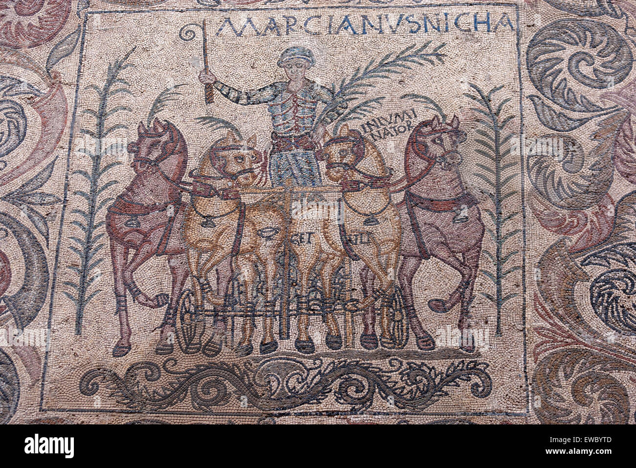 Mosaico romano nel Museo Nazionale di Arte Romana di Merida (Spagna ...