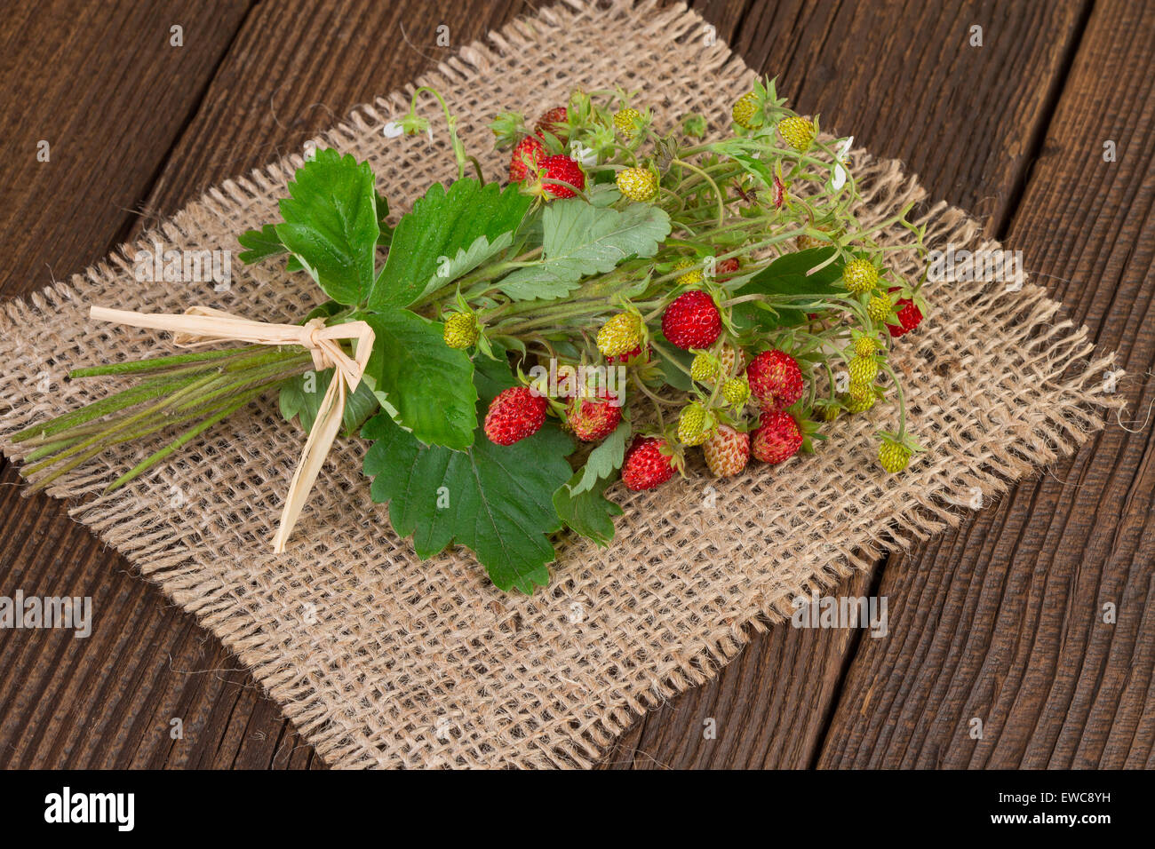 Foglia di iuta immagini e fotografie stock ad alta risoluzione - Alamy