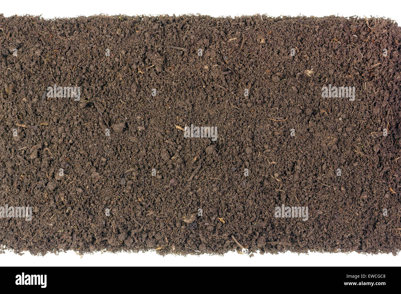 Isolata lunga striscia di terreno fertile humus compost. Vista dall ...