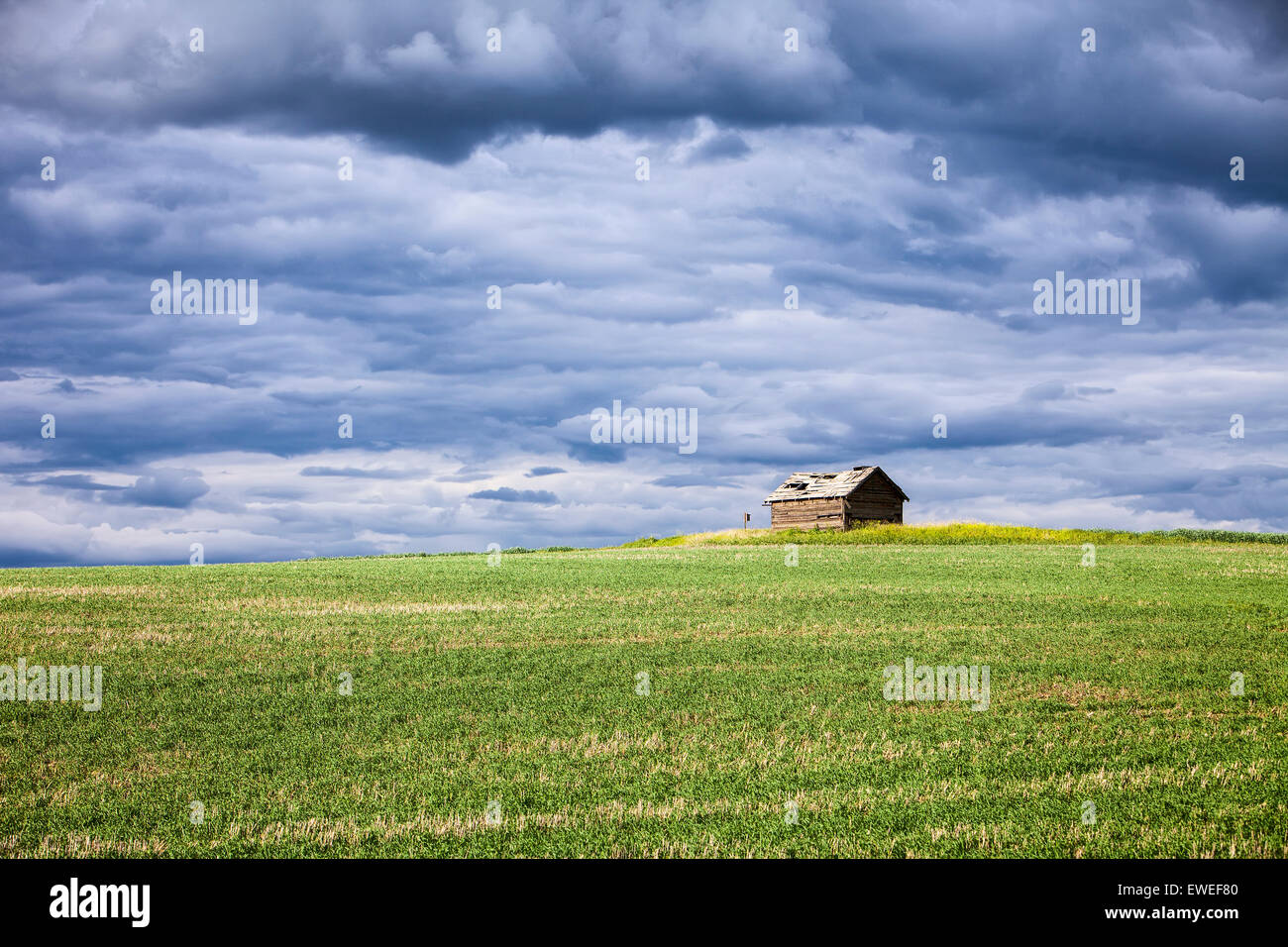 Palouse farm immagini e fotografie stock ad alta risoluzione - Alamy