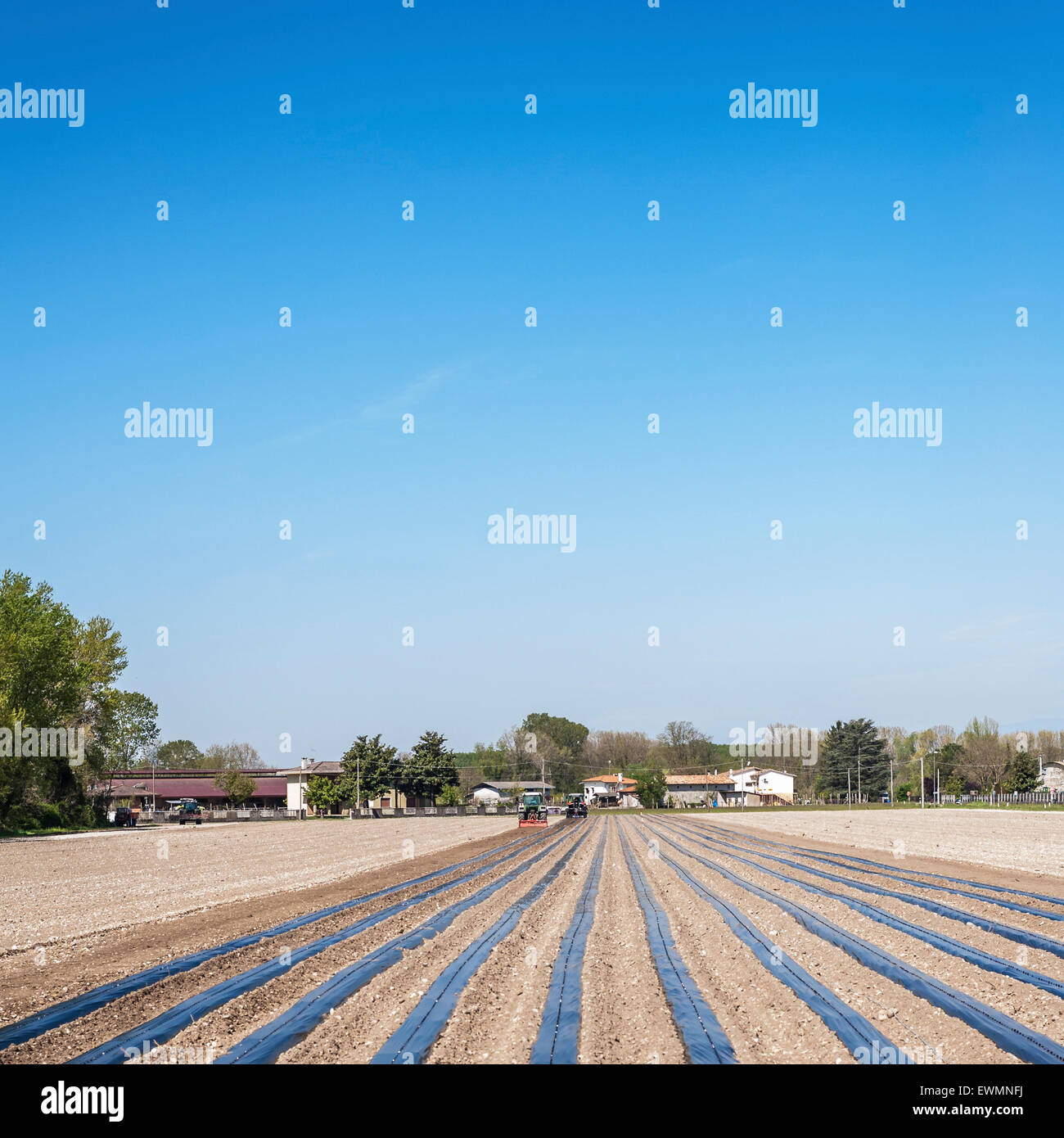 Campi di campi agricoli immagini e fotografie stock ad alta risoluzione ...