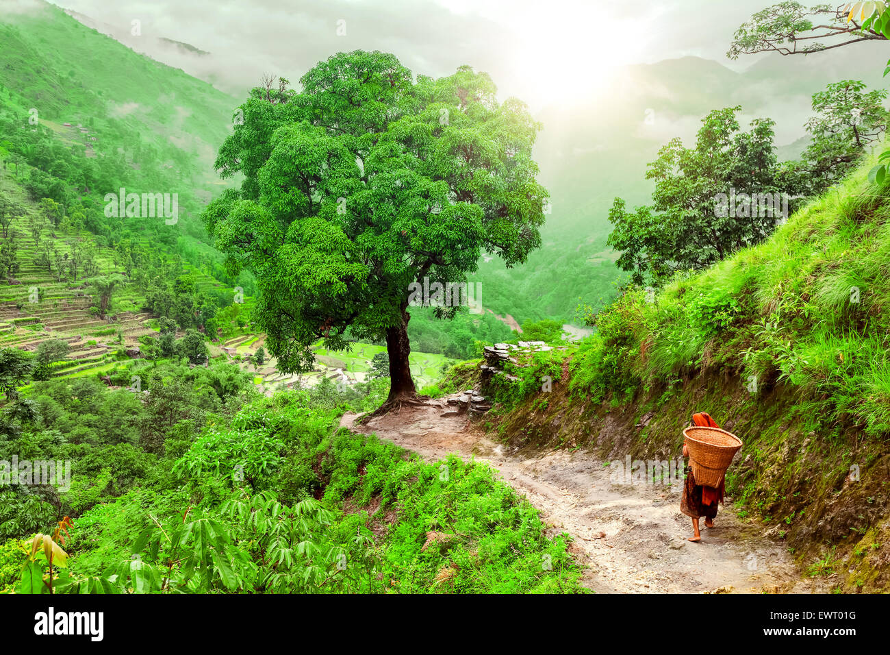 Clima tropicale nepal immagini e fotografie stock ad alta risoluzione ...