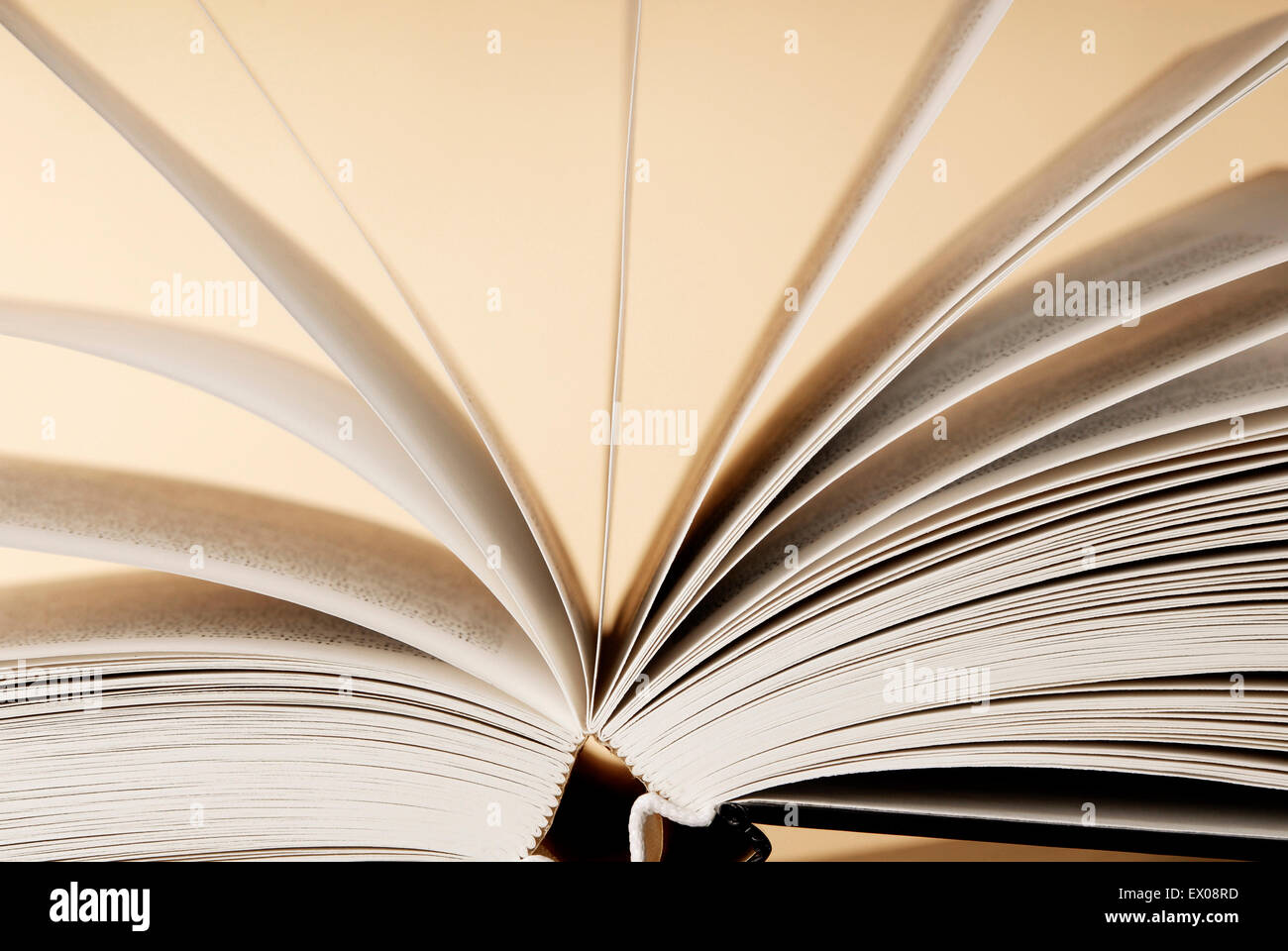 Girare le pagine immagini e fotografie stock ad alta risoluzione - Alamy