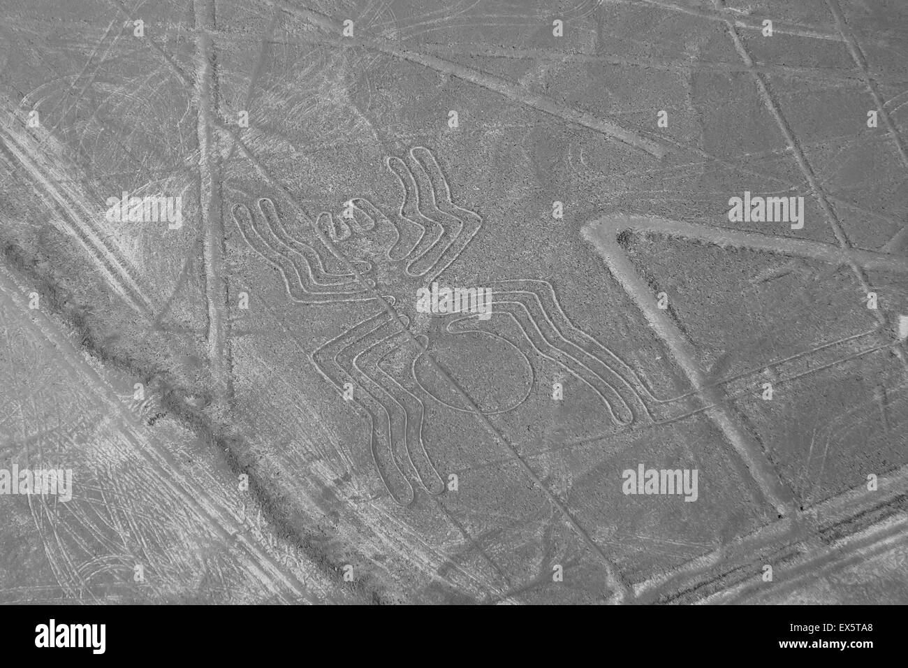 Nasca peru aerial immagini e fotografie stock ad alta risoluzione - Alamy