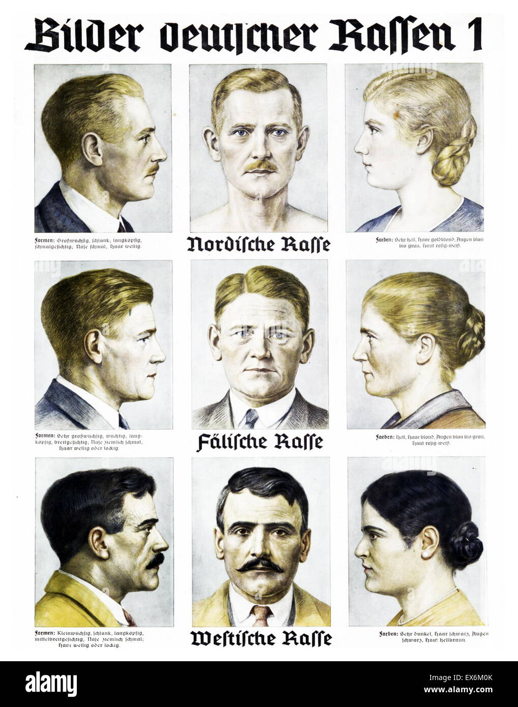 Partito nazista Diagramma a parete: Foto razze tedesche 1, 1935. Schede ...