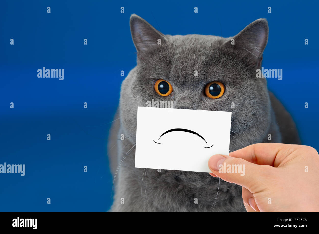 Emoticon infelice immagini e fotografie stock ad alta risoluzione - Alamy