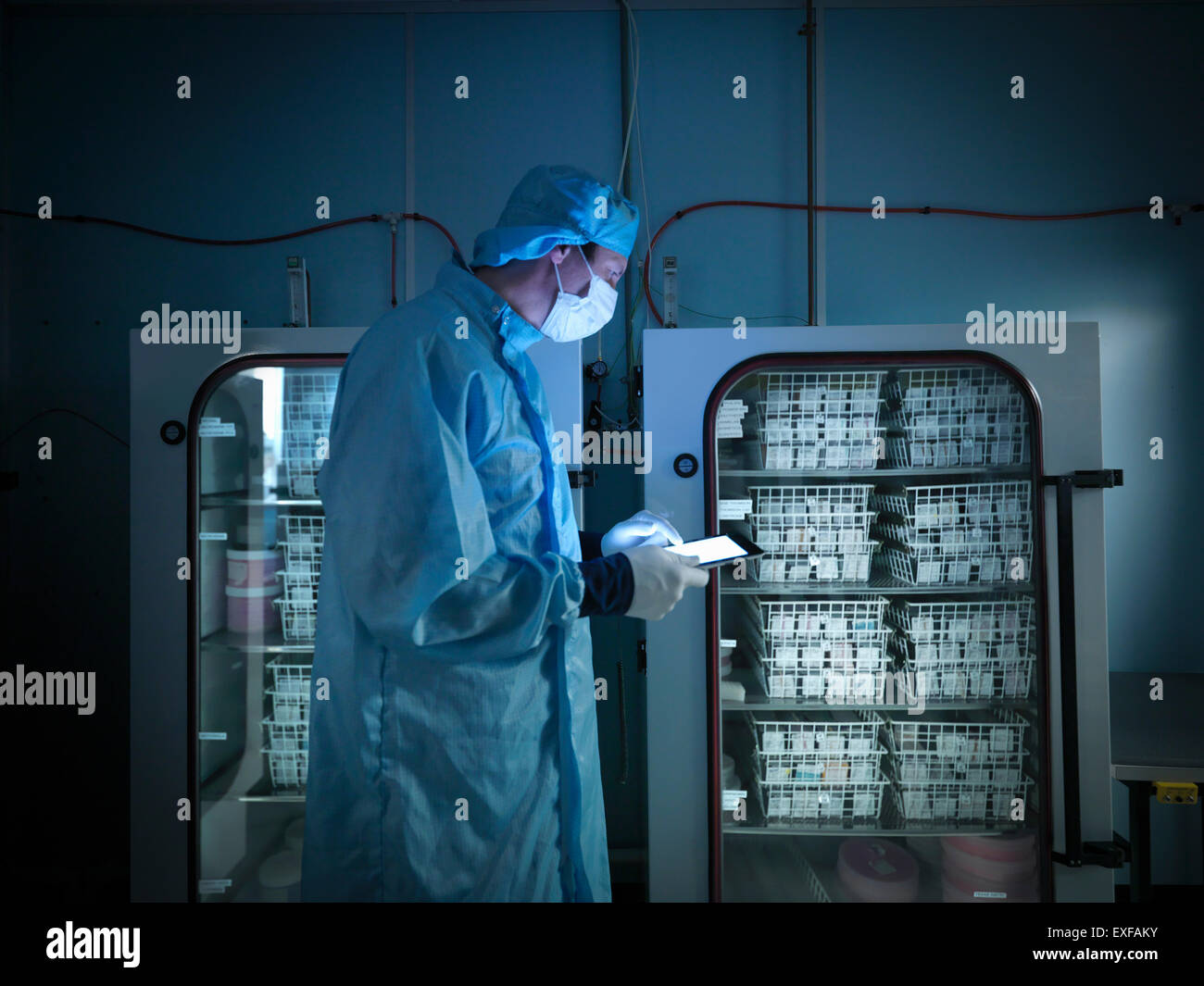 Impianto Di Azoto Immagini e Fotos Stock - Alamy