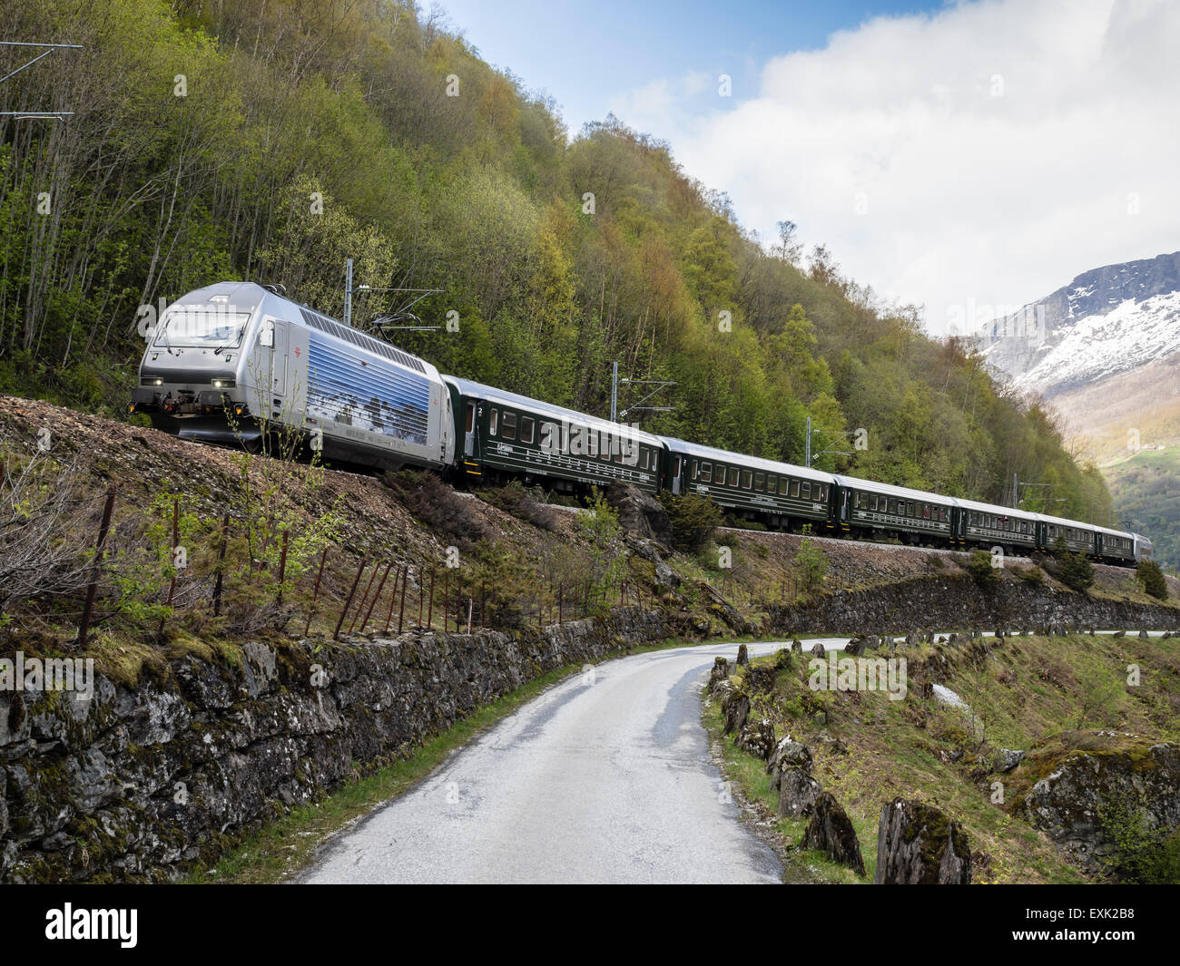 La linea ferroviaria flam myrdal immagini e fotografie stock ad alta ...