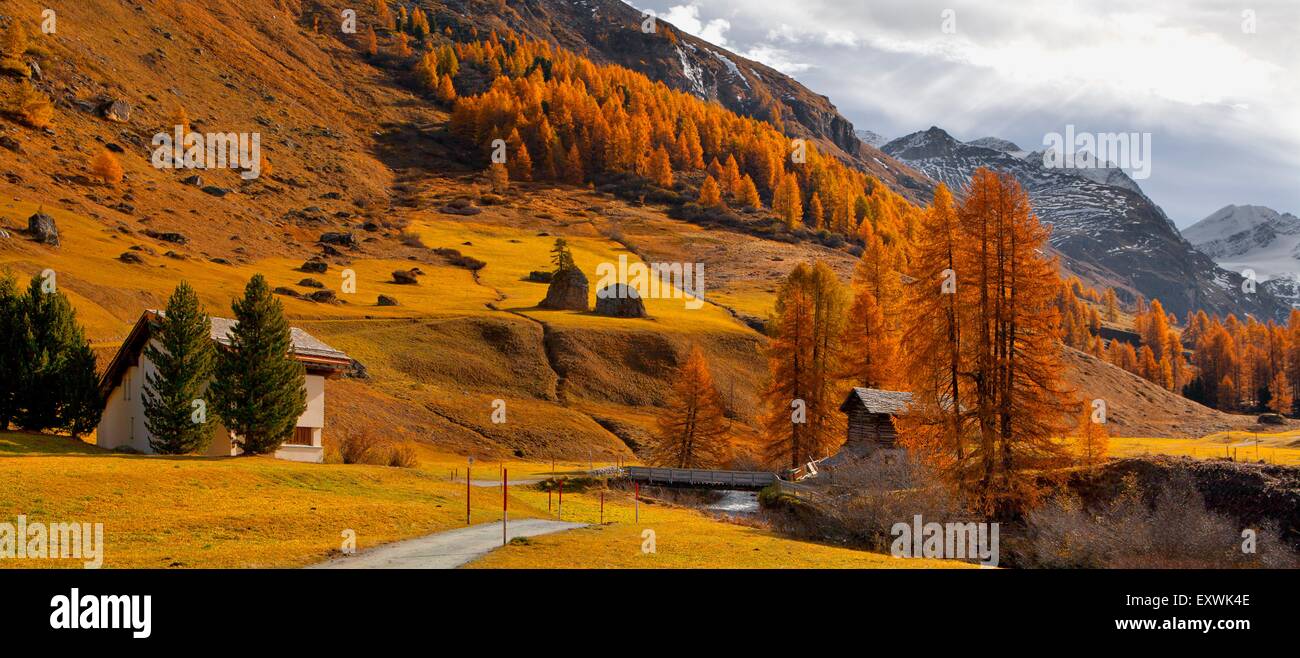 Alta engadina maggiore immagini e fotografie stock ad alta risoluzione ...