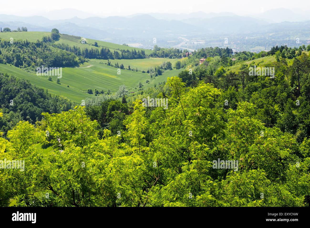 Pascoli verdi e dolci colline come visto dal Santuario della Madonna di ...