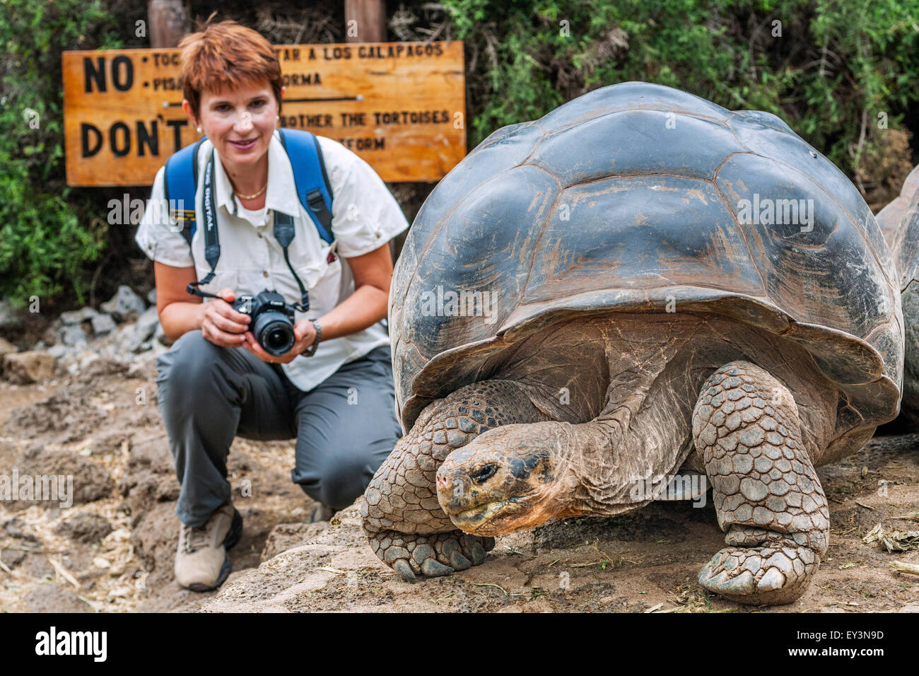 Ecuador Isole Galapagos, Isla Santa Cruz, Charles Darwin Research ...