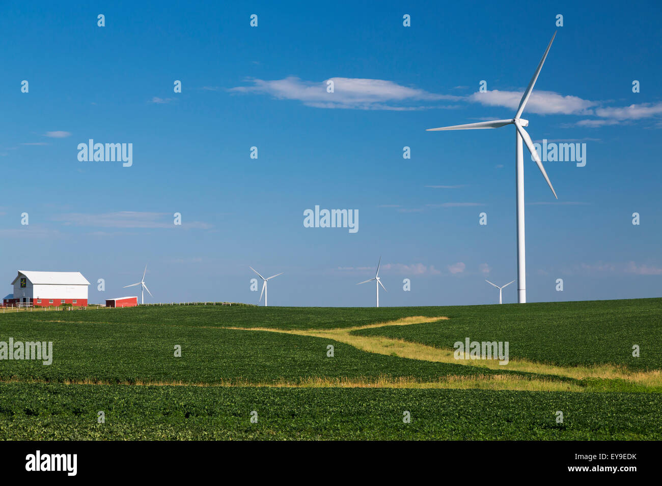 Agricoltura e agricoltura immagini e fotografie stock ad alta ...
