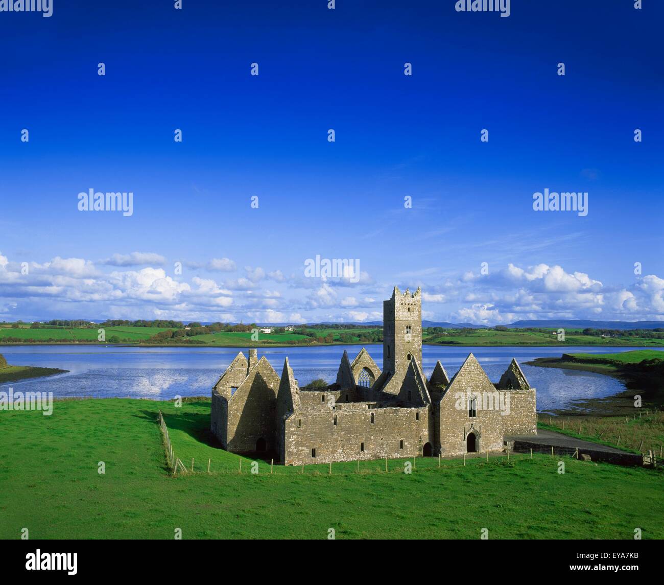 Gente dell'abbazia di boyle immagini e fotografie stock ad alta ...