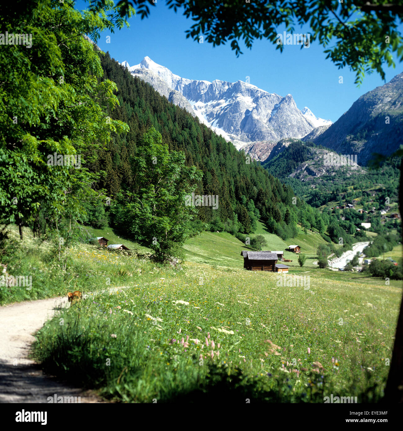 Schweizer landschaft immagini e fotografie stock ad alta risoluzione ...