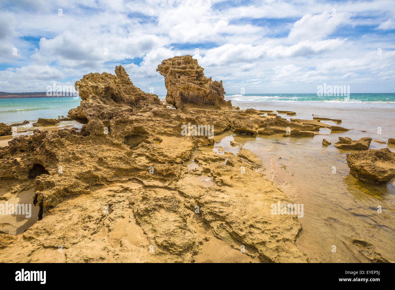 Anglesea road immagini e fotografie stock ad alta risoluzione - Alamy