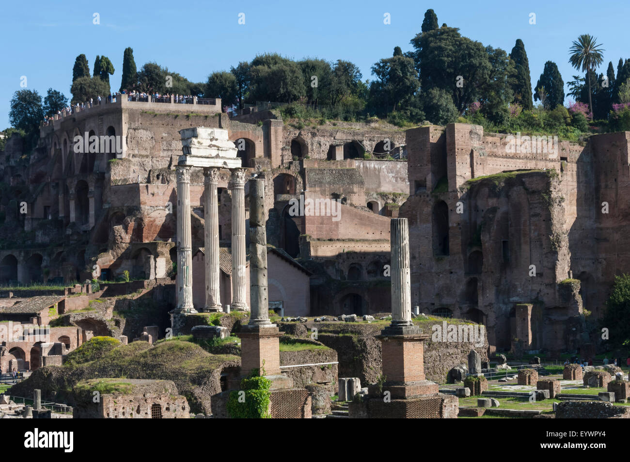 Antico Foro Romano e le tre colonne del tempio di Castore e Polluce ...