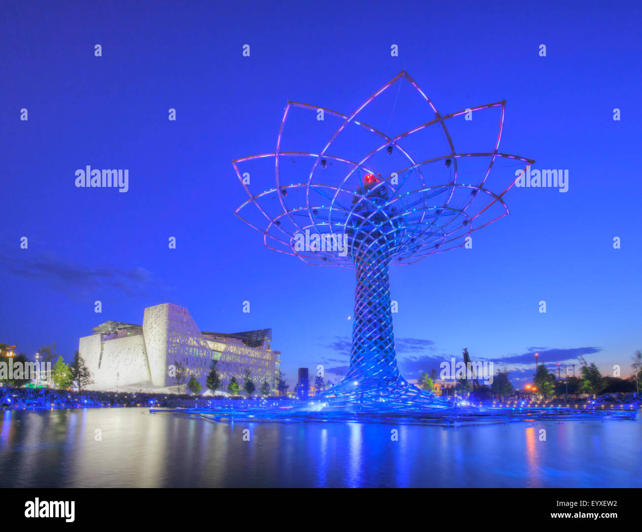 Albero della vita immagini e fotografie stock ad alta risoluzione - Alamy