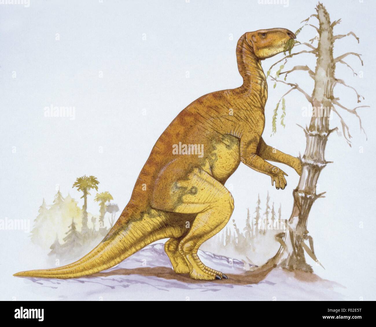 Probactrosaurus gobiensis immagini e fotografie stock ad alta ...